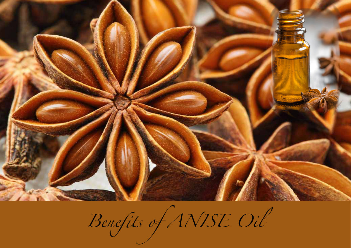 Benefits of ANISE SEED Oil – New Life Spa